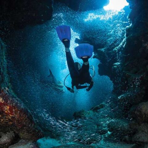 Scuba Diving Texas: Explore Thrilling Underwater Adventures