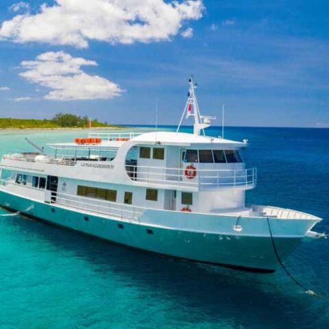 Scuba Diving Texas: Explore Thrilling Underwater Adventures